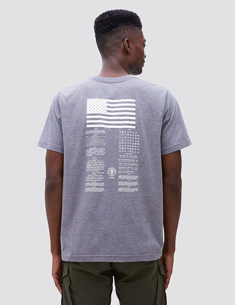 Оригинальные футболки Alpha industries купить в Украине, Киев